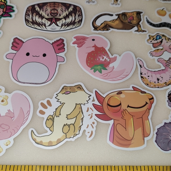 Office | Set Of 23 Cute Axolotl Salamander Stickers | Poshmark